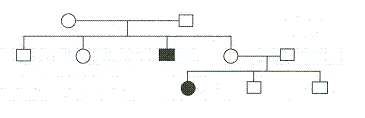 Study the given pedigree chart and answer the questions which follow ...